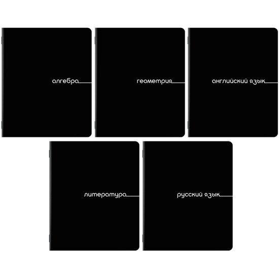 Тетради предметные Brauberg , комплект 5 предметов, 48 л, обложка картон, "BLACK", 405184