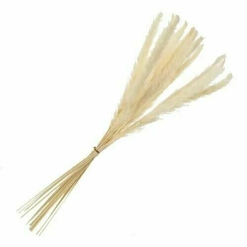 Искусственный цветок КНР "Колосья", декоративный, 70 см, белый