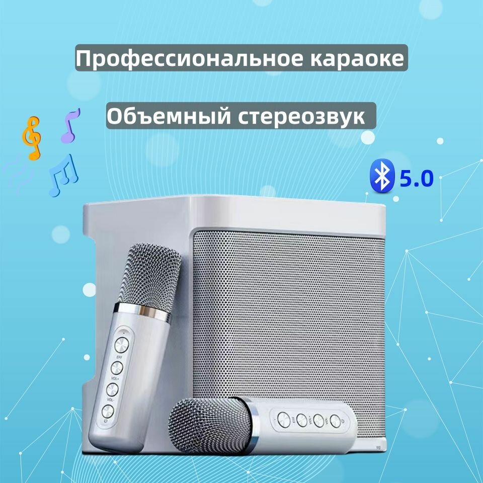 Караоке-система Караоке система для дома с двумя микрофонами