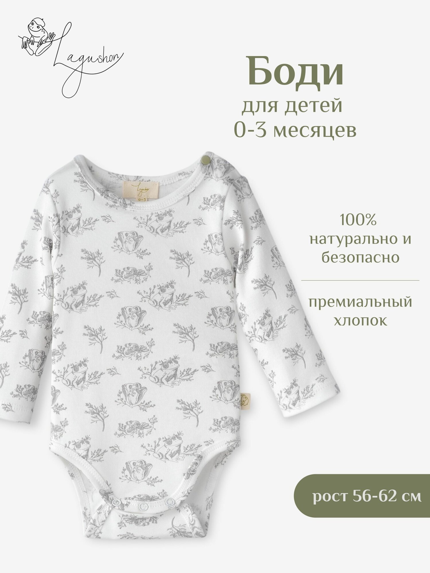 Боди