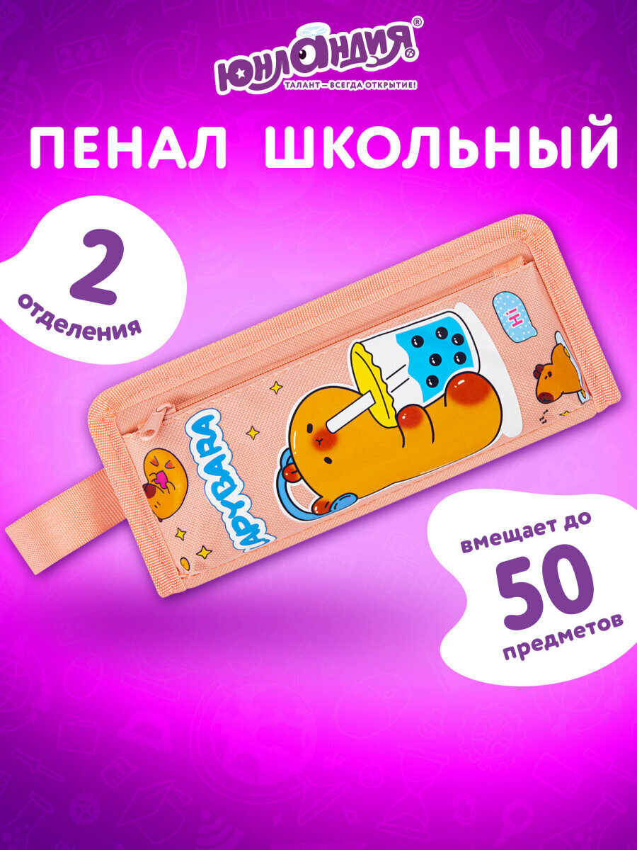 Пенал школьный для девочек, для карандашей и ручек с 2 отделениями, канцелярия для школы, полиэстер, 21х8х6 см, Юнландия, 273814