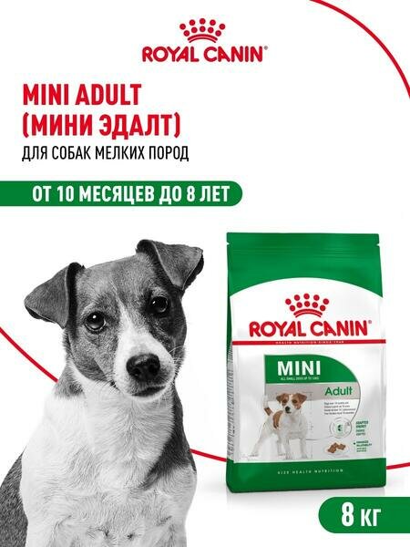 ROYAL CANIN MINI ADULT 2 шт по 8 кг корм для собак мелких пород с 10 месяцев до 8 лет