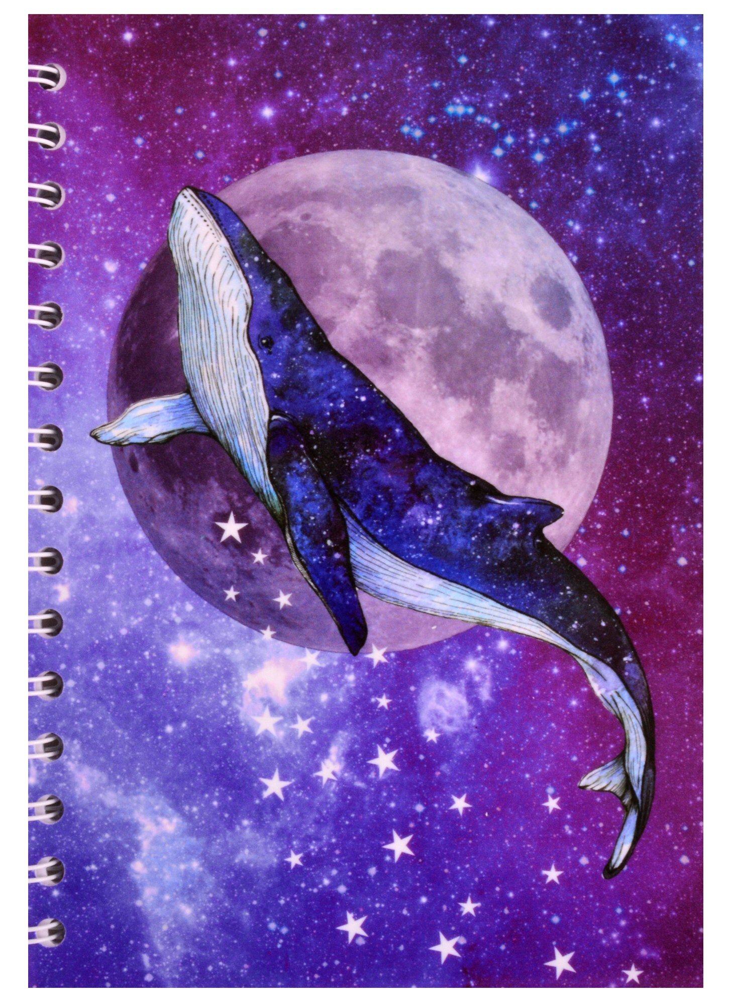 Тетрадь в клетку Hai Bin, "Кит и луна", 80 листов