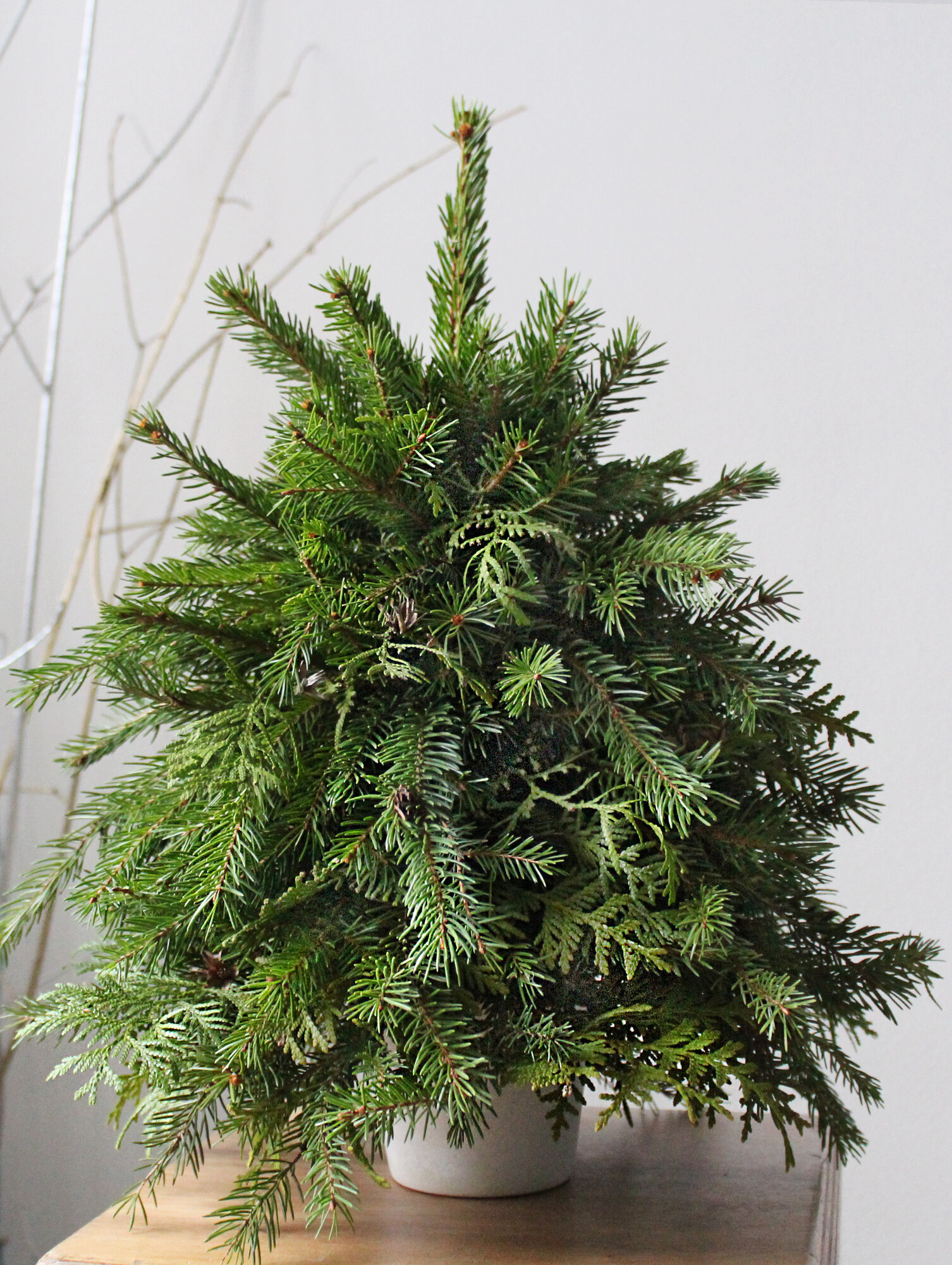 Ёлочка новогодняя "Живая Хвоя" S, ароматные ветви сосны, ели и хвои разных пород, собранные на флористической губке