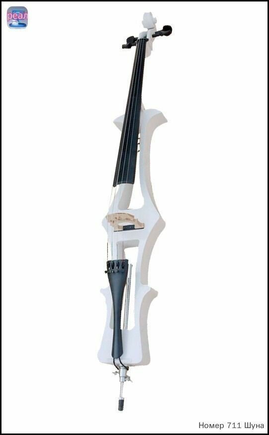 Струнный инструмент