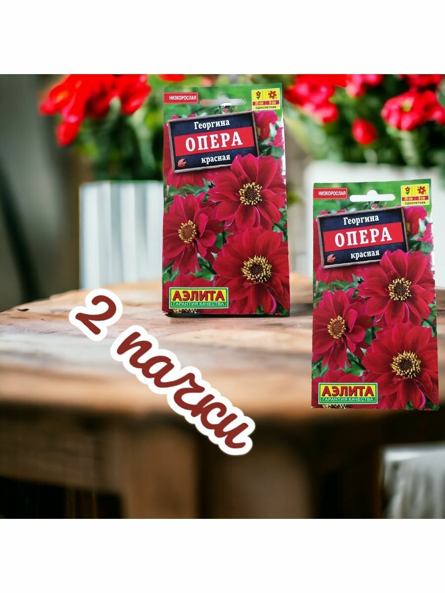 Георгина Опера красная цв. п 7 семян, 2 пачки