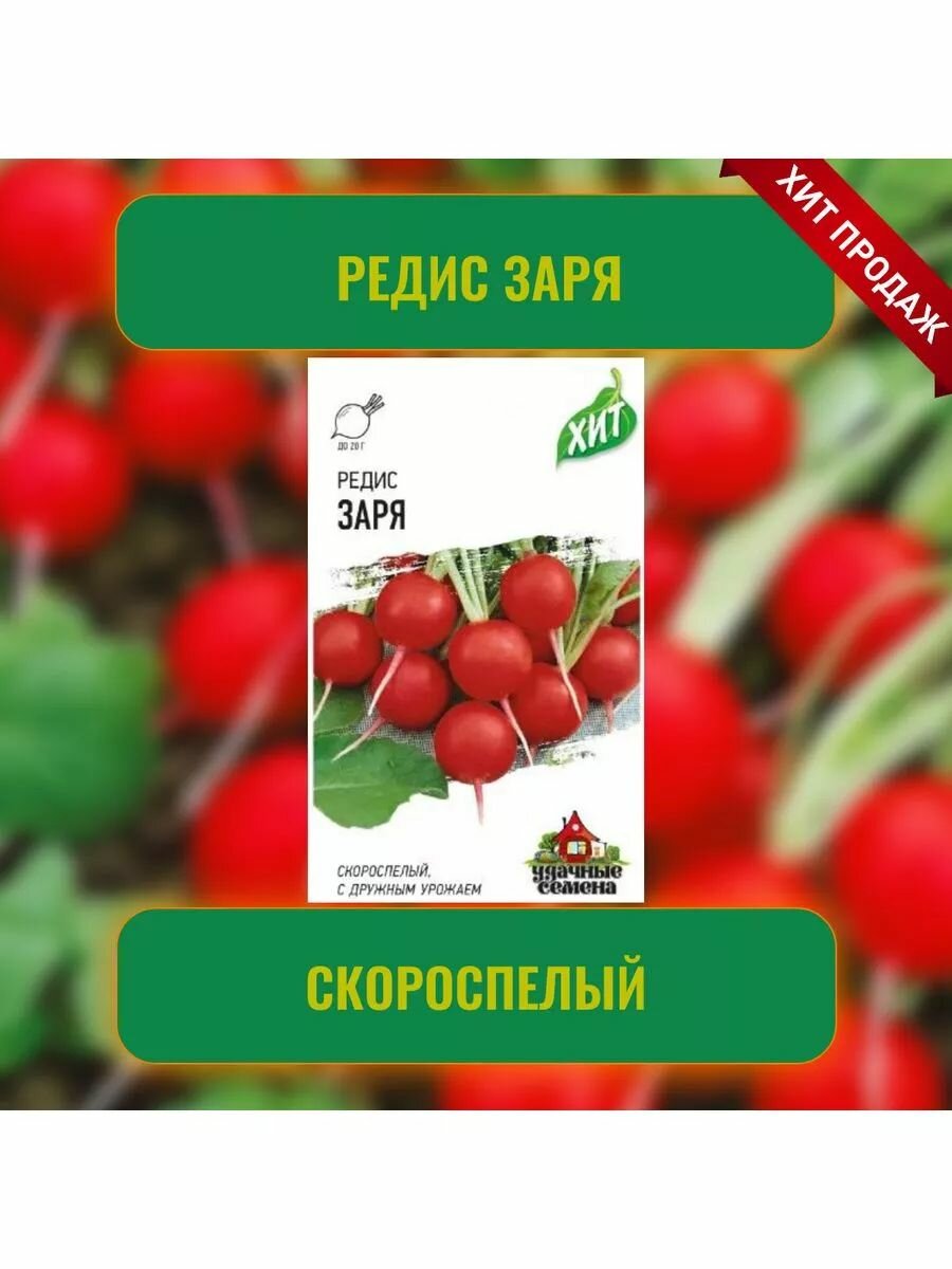 Редис Заря цв. п 2г ХИТ Гавриш