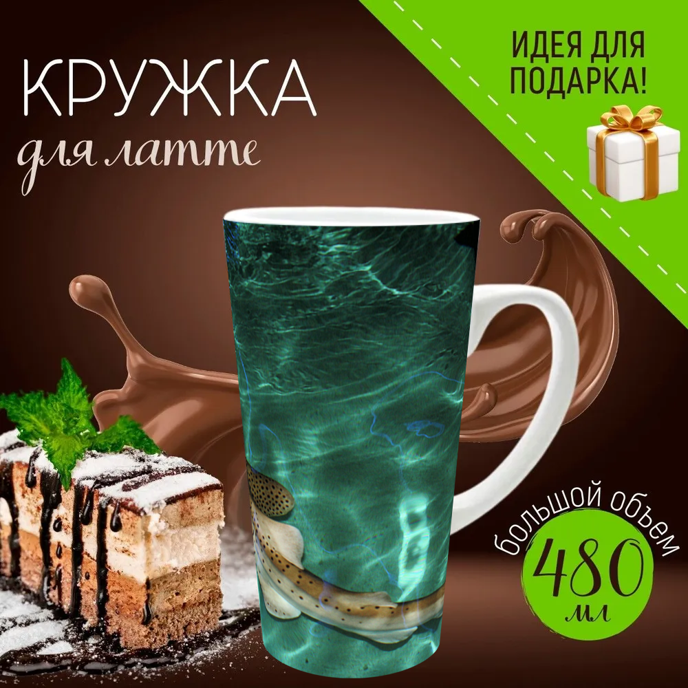Кружка латте керамическая большая для чая и кофе с прикольным принтом "Рыбы Тигра Фото сделано из тигра рыбы в Балтиморе гавань, MD аквариум животные природа тигр рыба вода аквариум" 500 мл.