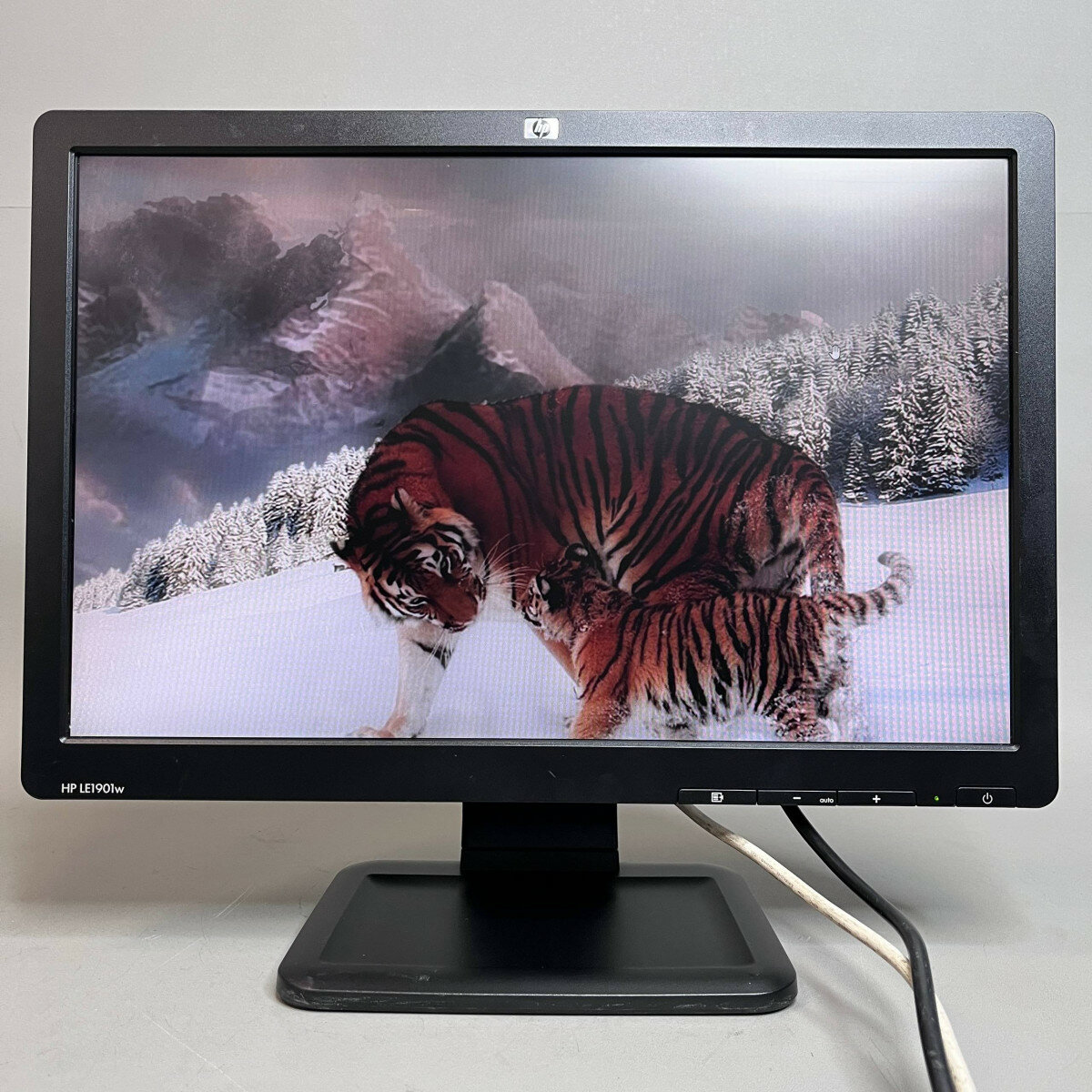 19" Монитор HP LE1901w, 1440x900, 76 Гц, TN, черный