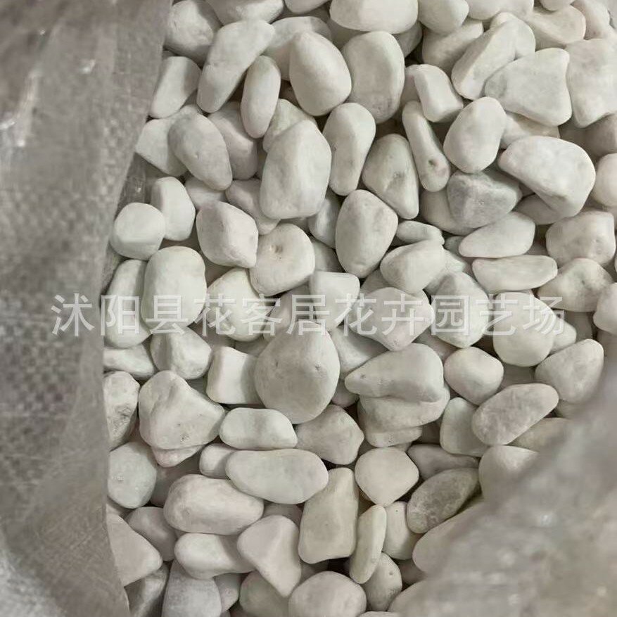 2025 Симуляция тонкого водяного бамбука, декоративная внутренняя входная мягкая отделка, зеленое растение, перегородка, плотный искусственный бамбук