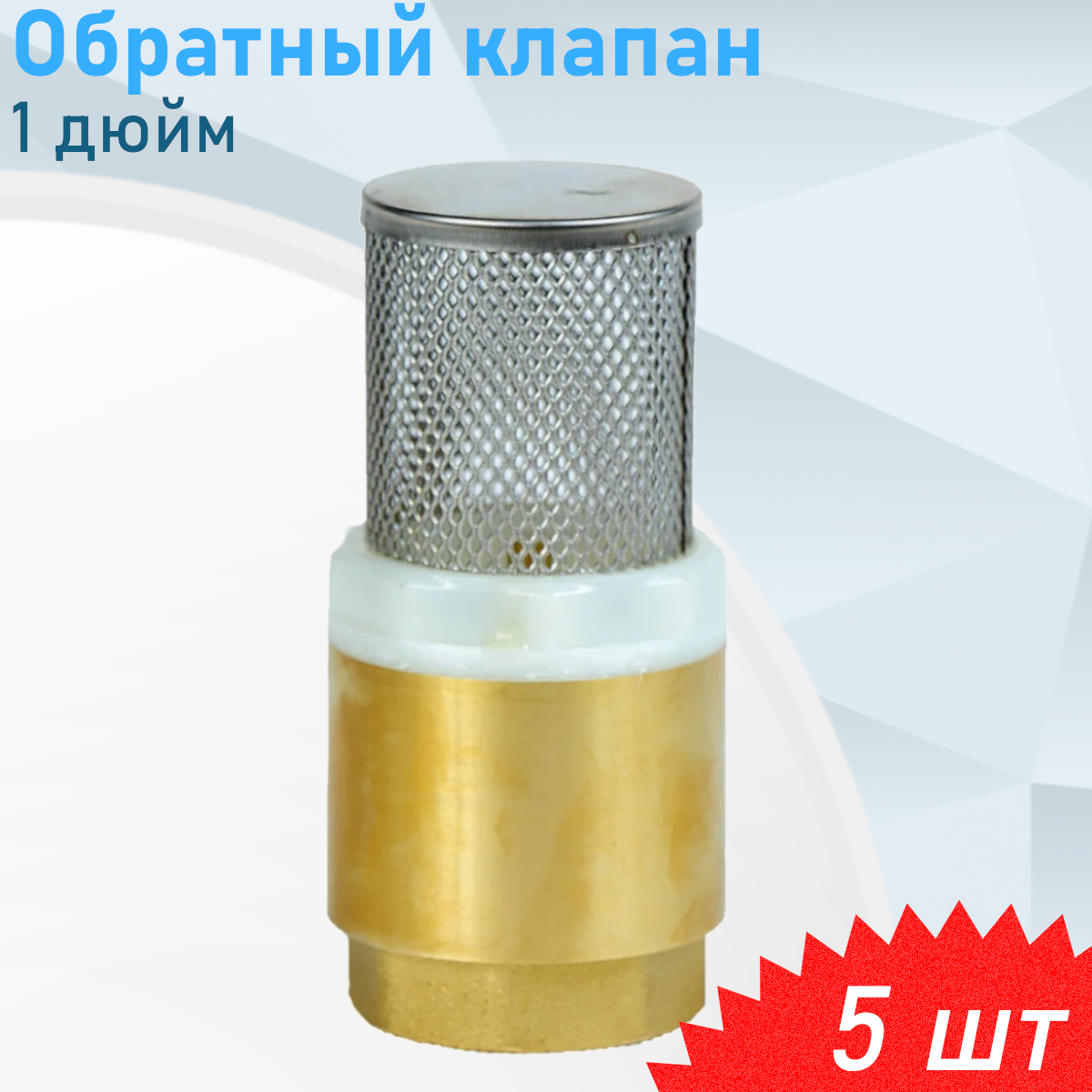 Обратный клапан 1 дюйм шток пластик с сеткой, 5 шт