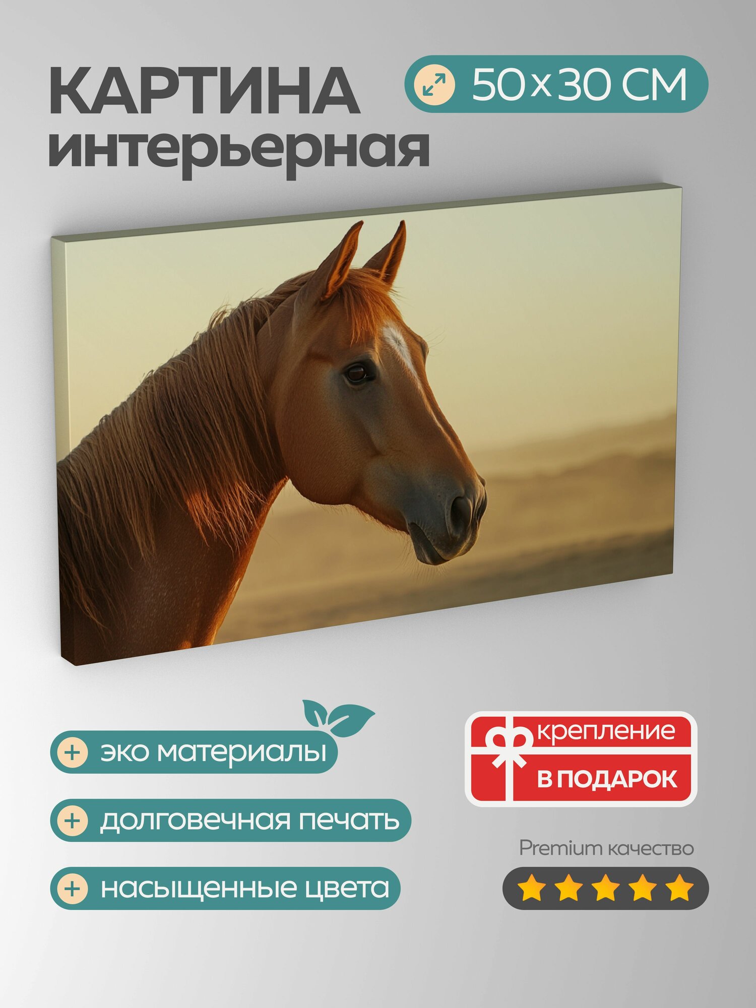 Картина на холсте интерьерная 50х30 см, лошадь, портрет, арабская, профиль, выразительные глаза, черты лица, рассвет, f