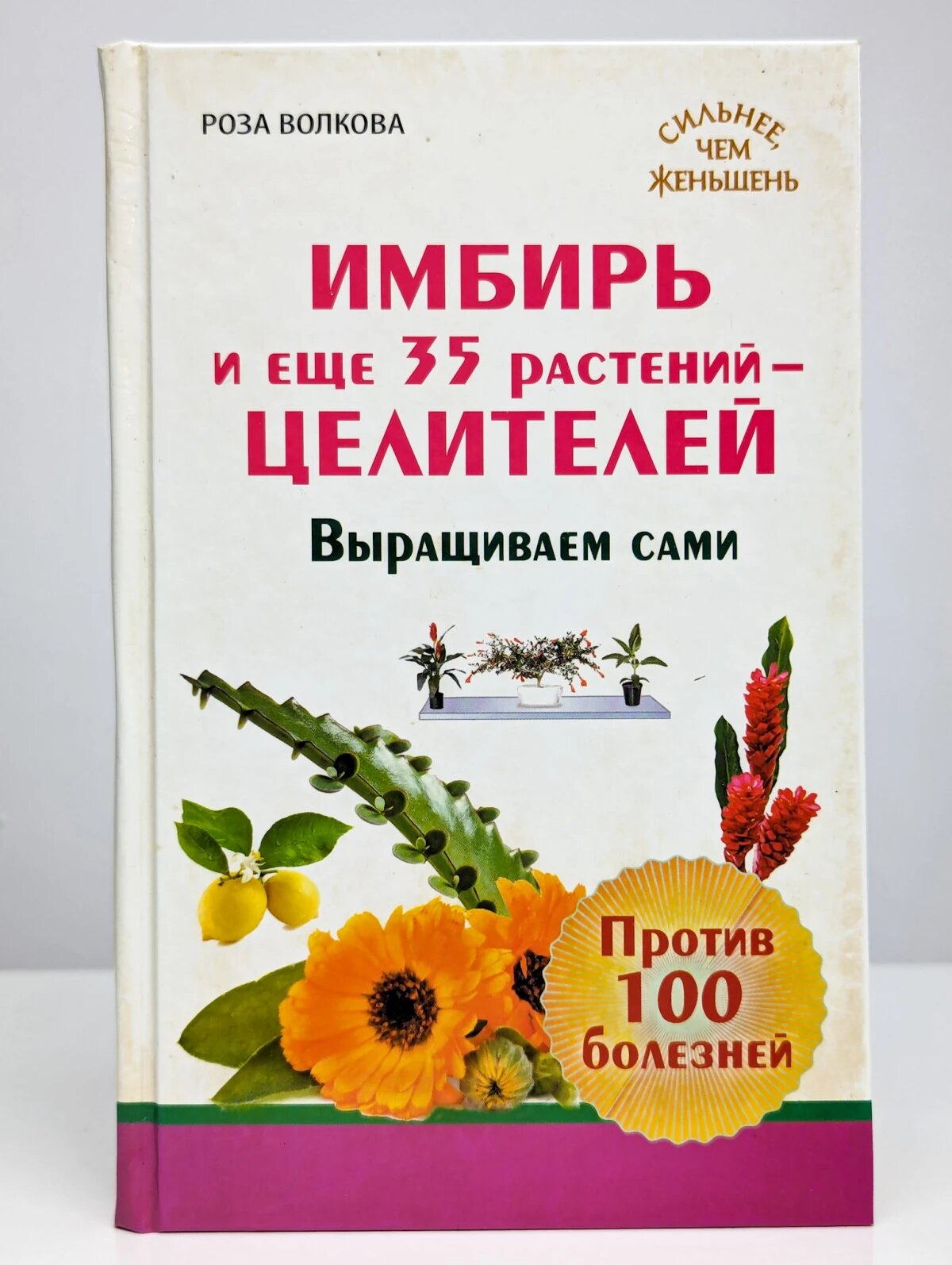 Имбирь и еще 35 растений-целителей