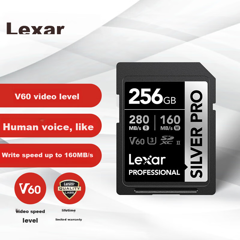Lexar 256GB SD Memory Card C10 U3 V60 4K Camera Memory Card, Read 280MB/s, Write 160MB/s, Capture Light And Shadow (SILVER PRO)