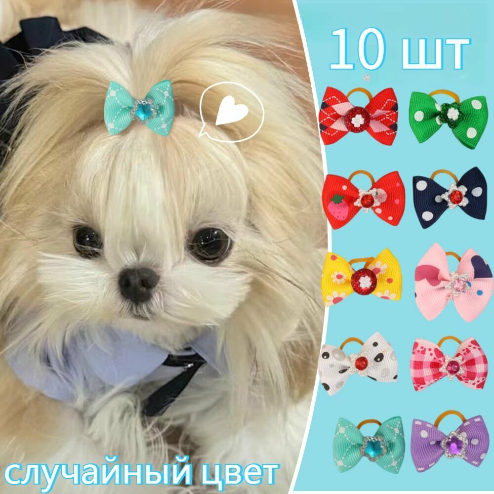 Резинки для животных, подходят для маленьких и средних собак, 10 шт.
