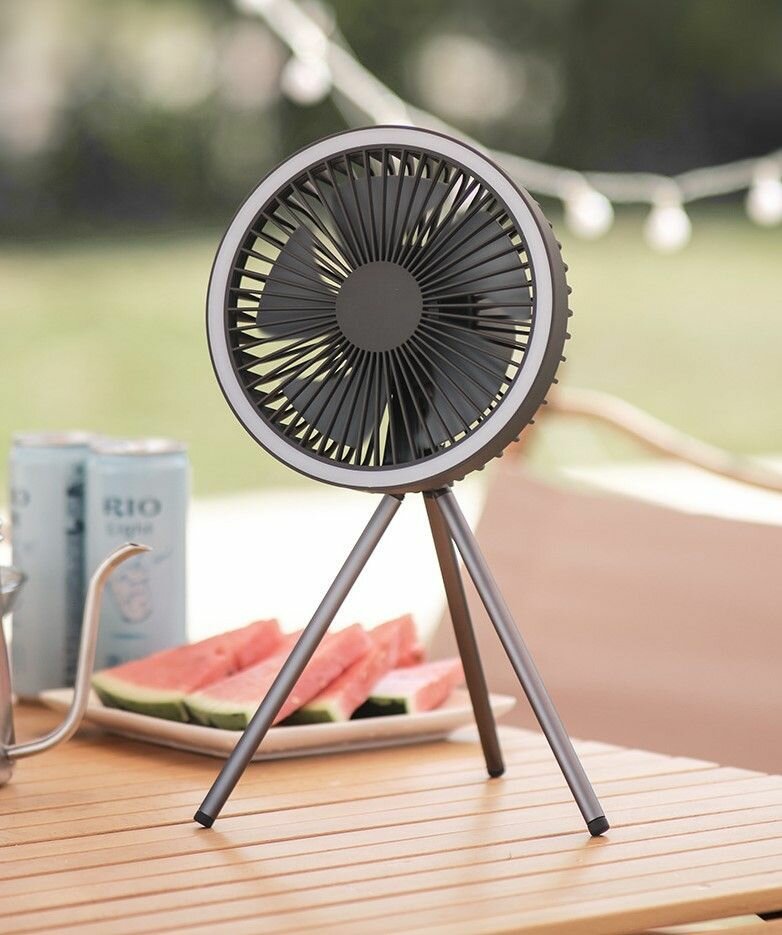 Портативный бесшумный настольный вентилятор 3в1/Маленький беспроводной потолочный вентилятор с подсветкой/Внешний аккумулятор(Power bank) 10000mAh