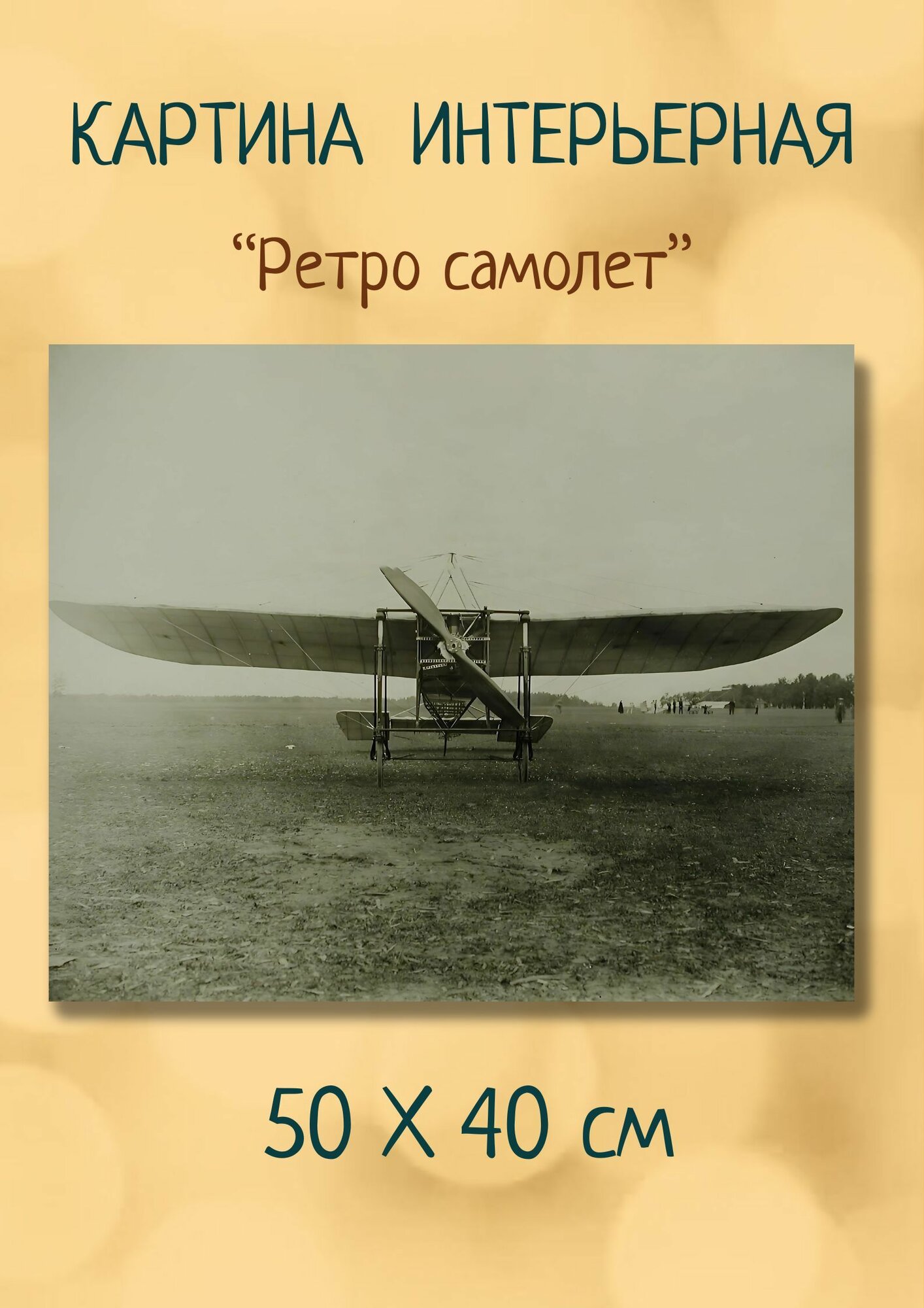 Фотокартина в черно белом стиле ретро "Общий вид моноплана спереди" 50х40 см