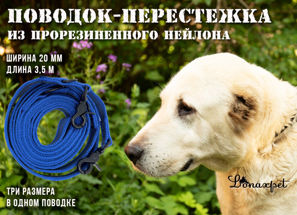 Поводок-перестежка из прорезиненной стропы синий 3,5 м