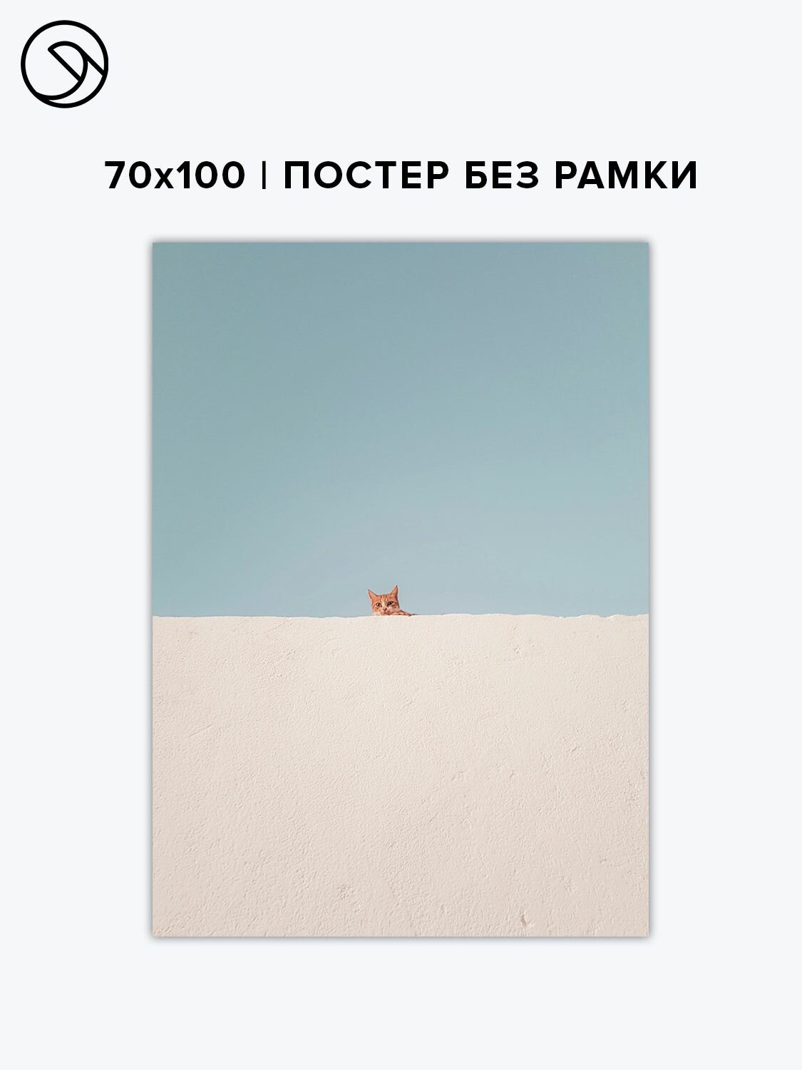 Постер на стену Postermarkt Кошка, 70х100 см
