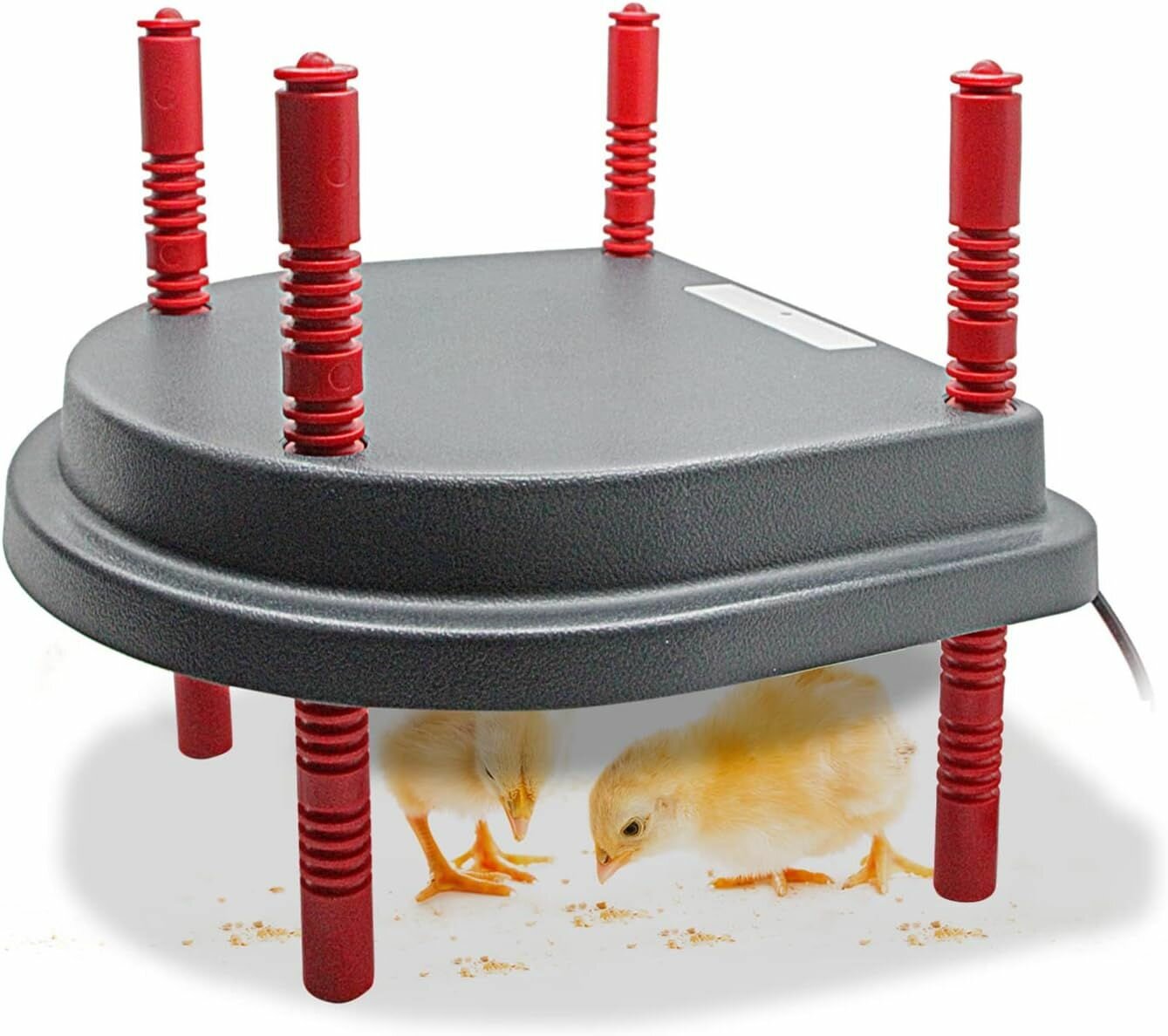 Нагревательная плита для цыплят клетка для цыплят, регулируемая высота, безопасный инкубатор для высиживания яиц