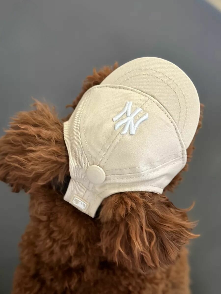 Шапка для собак NY, бежевая, размер L