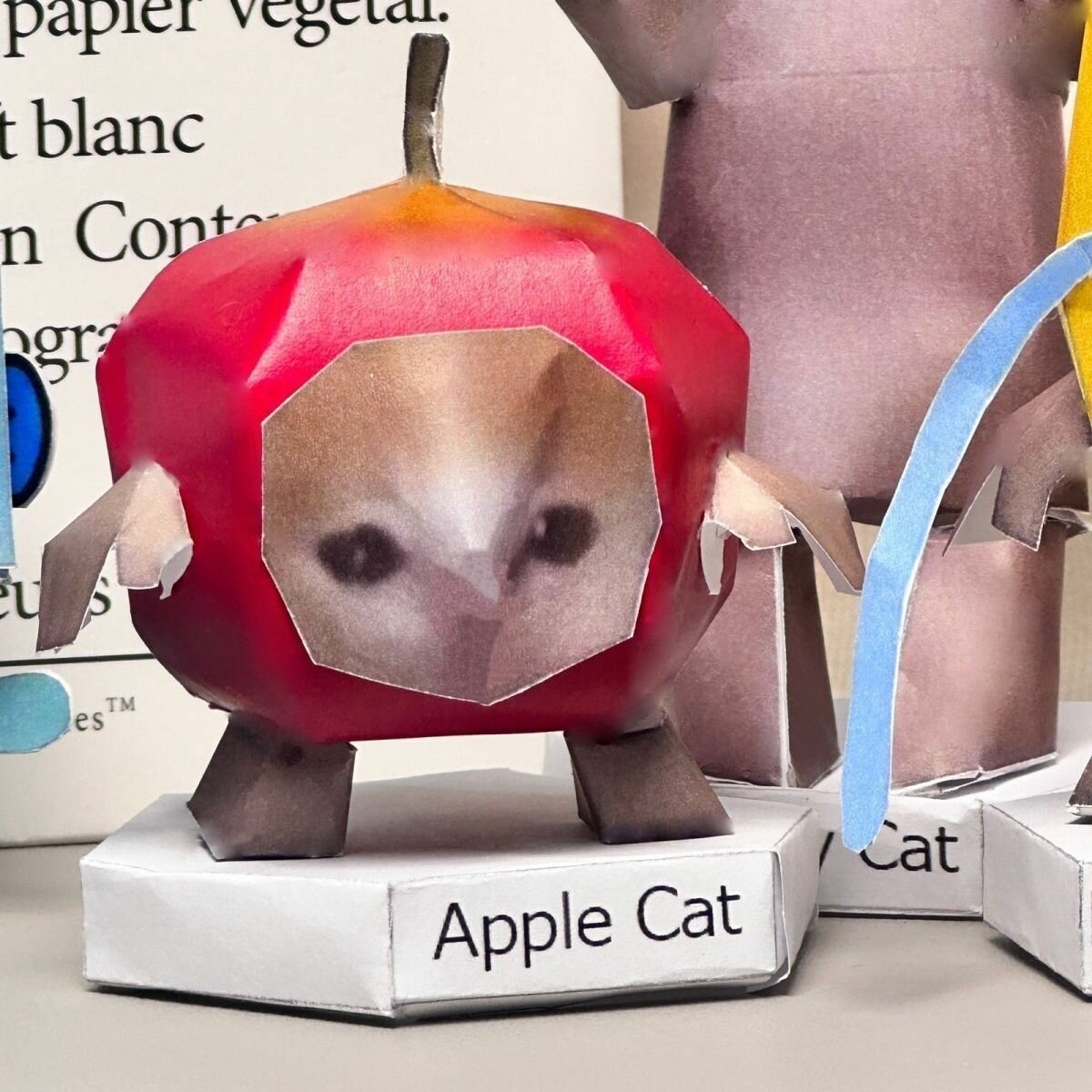 3D объемная раскраска-игрушка книга