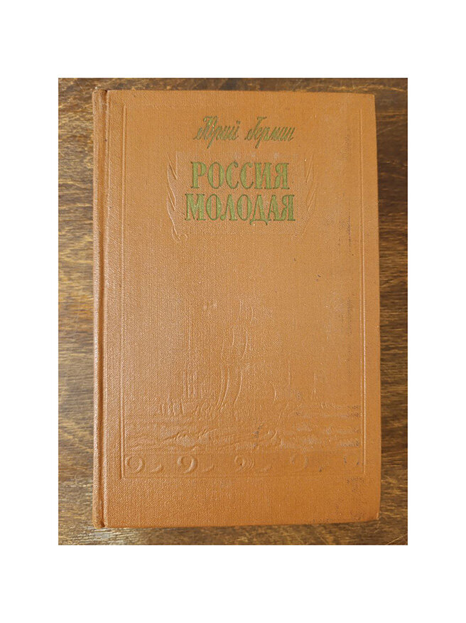 Россия молодая. В двух томах. Том 2