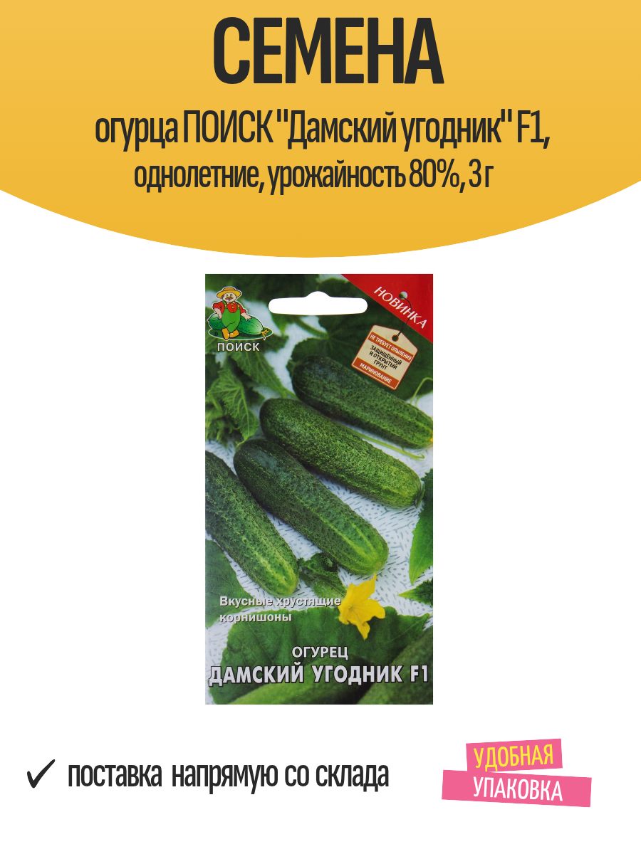 Семена огурца поиск "Дамский угодник" F1, однолетние, урожайность 80%, 3 г