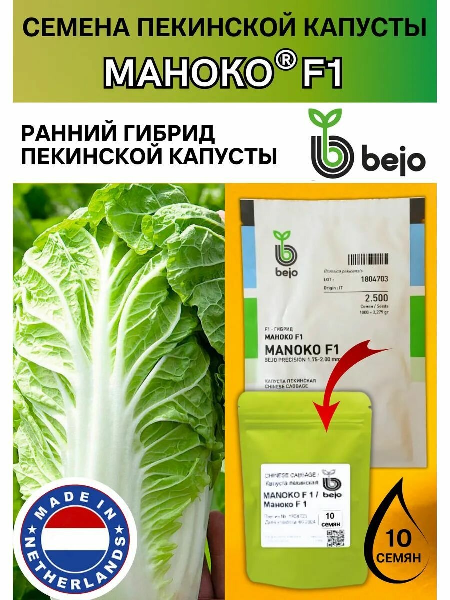 Капуста пекинская Маноко F1 10 семян Bejo, профессиональные семена
