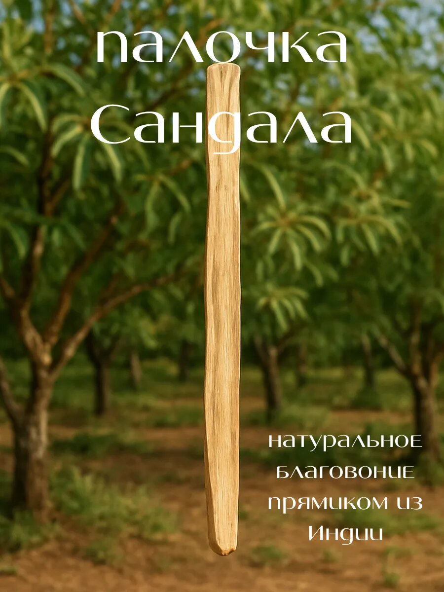 Сандаловое дерево для дома