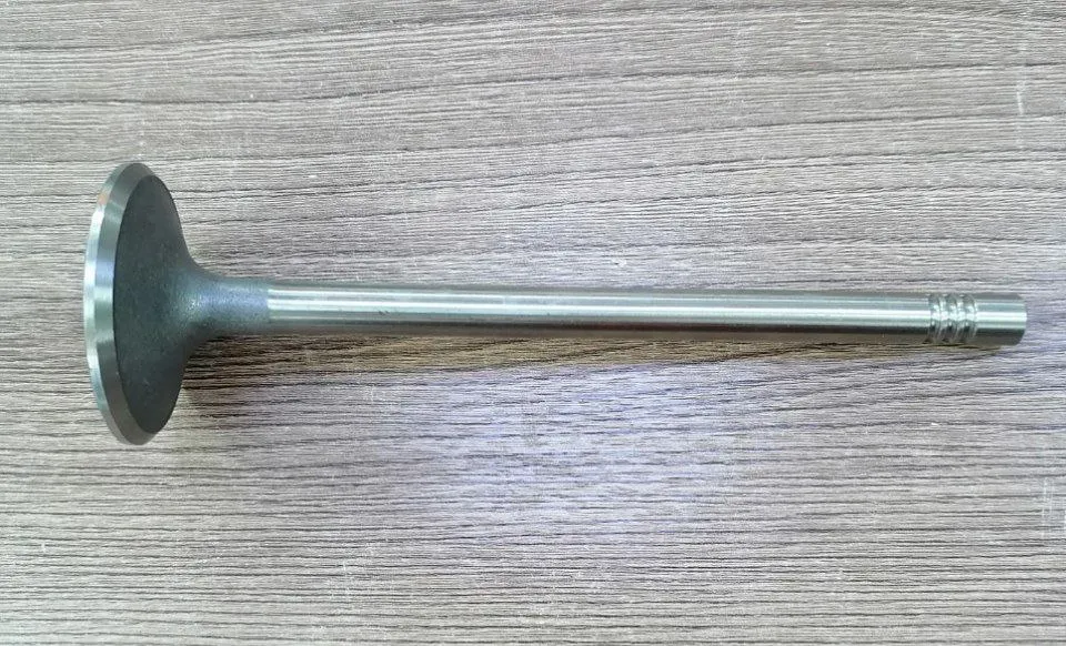 Клапан впускной дв. 1.6 SQR480ED Chery Amulet Karry 4шт на автомобиле Чери Амулет Карри