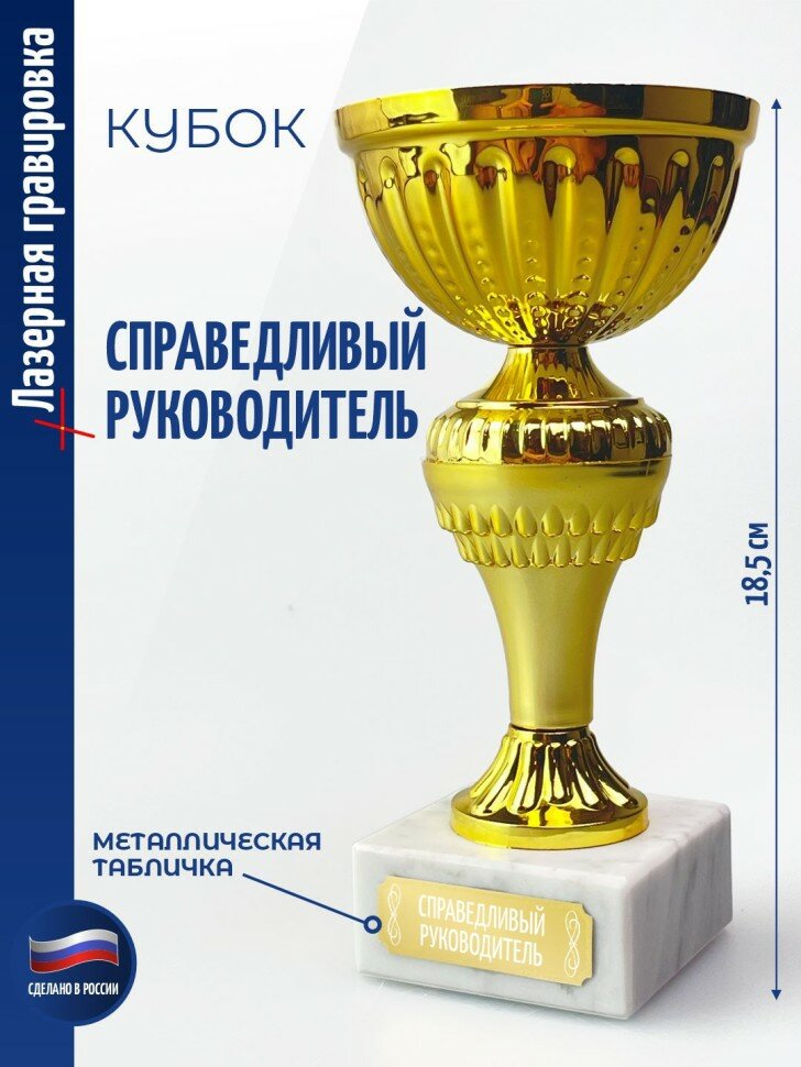 Кубок "Справедливый руководитель" (18,4 см)