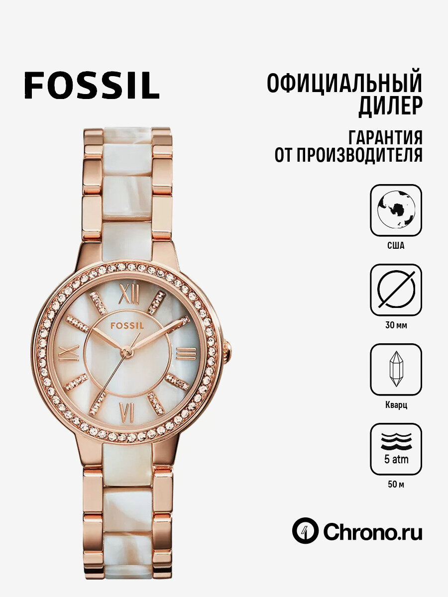  FOSSIL