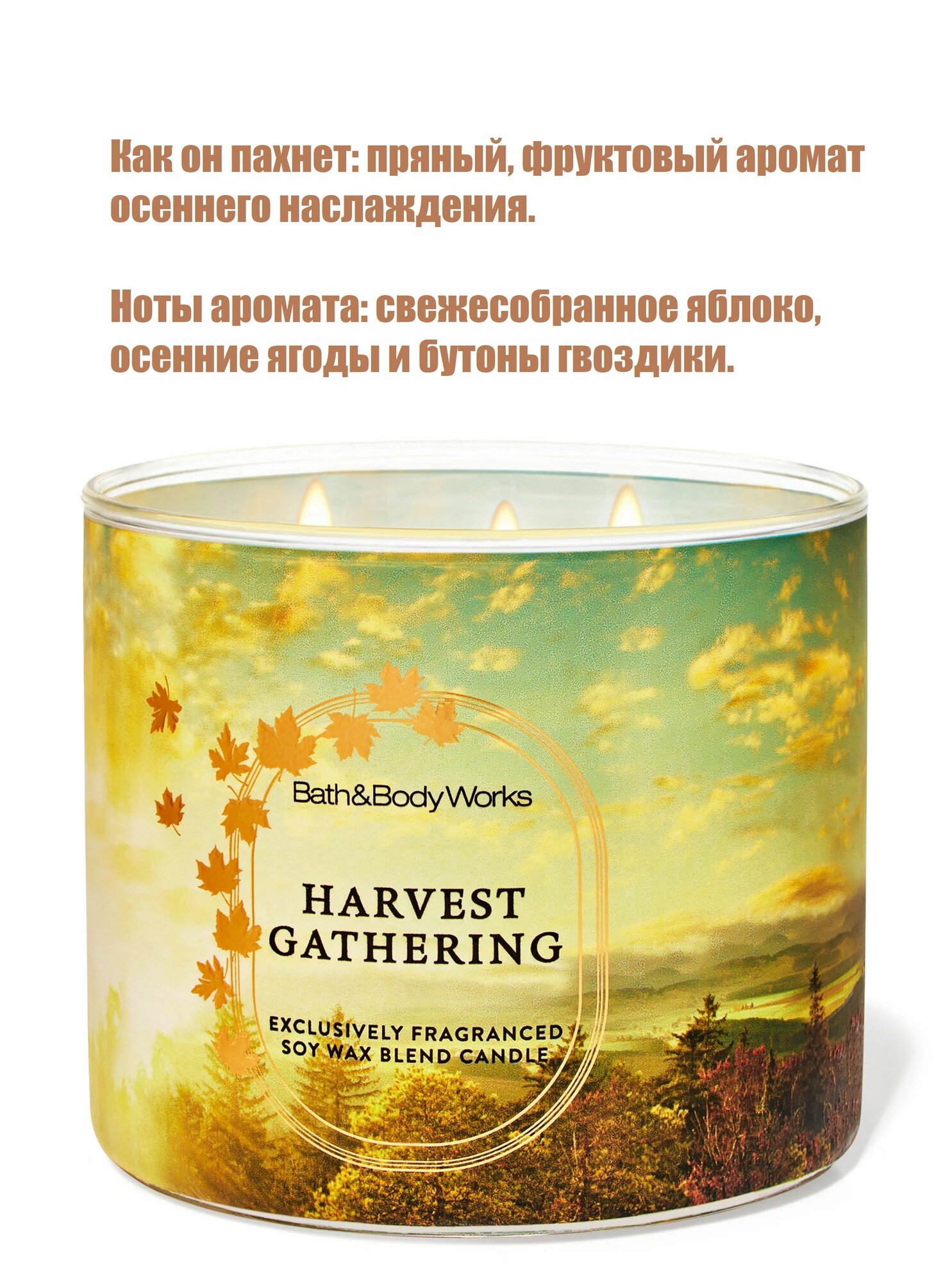 Bath and Body Works свеча ароматическая с 3-мя фитилями Harvest Gathering (411 грамм)