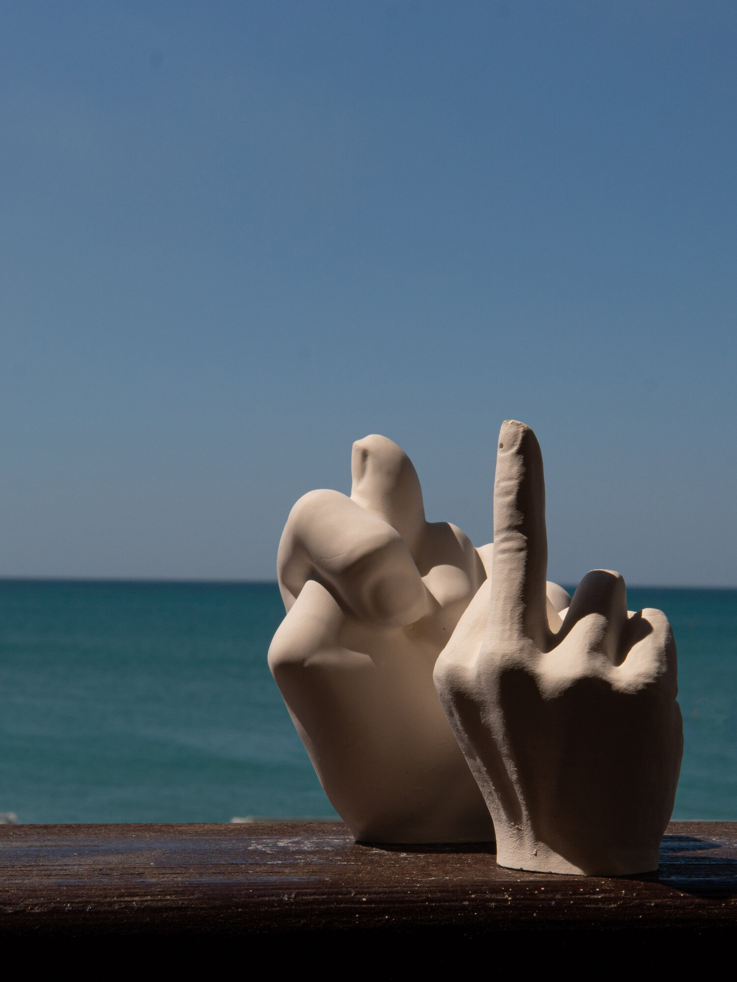 Статуэтки для интерьера, средний палец и фиг / лакированные