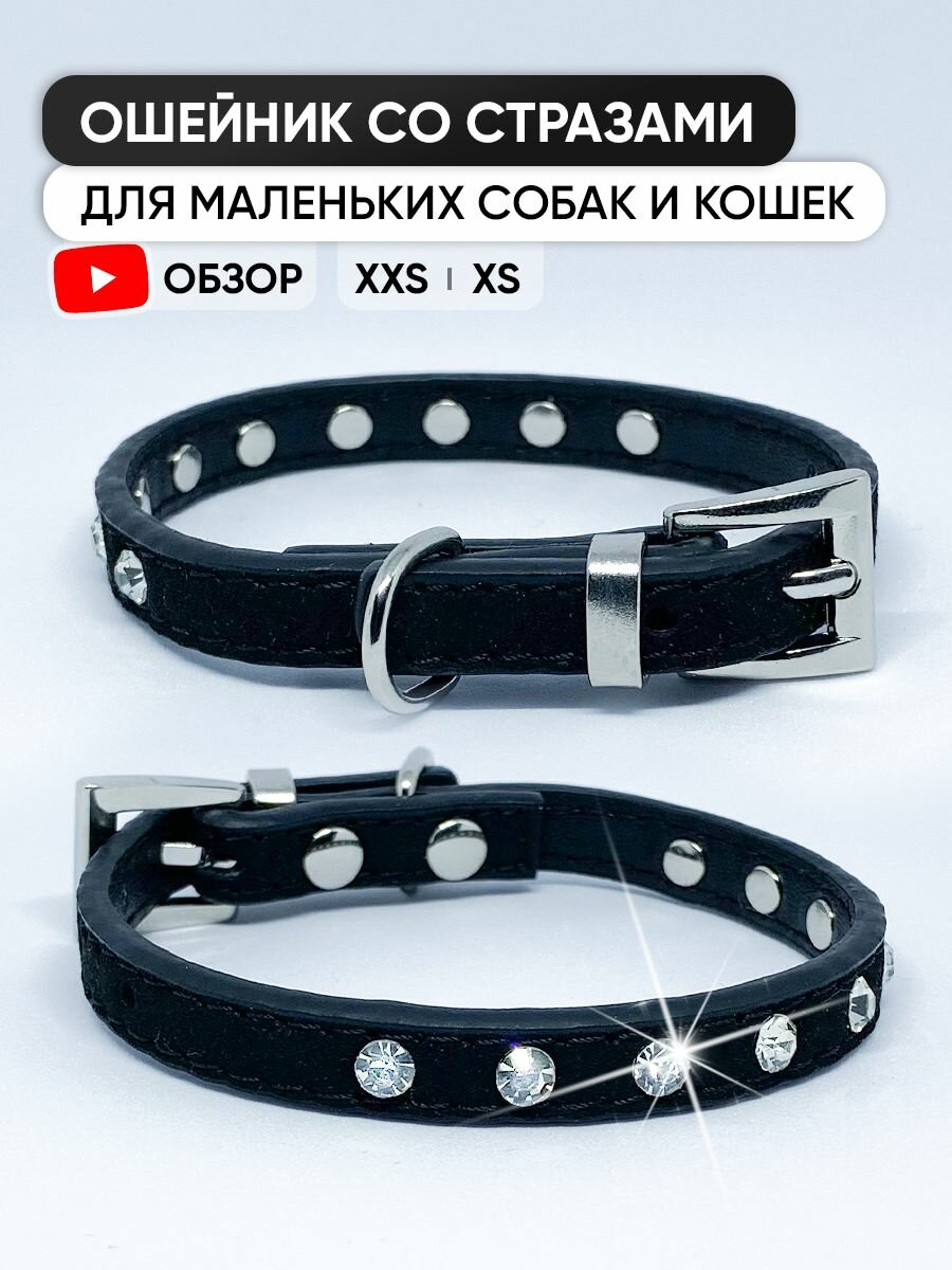 Чёрный ошейник со стразами для собак мелких пород и кошек, XS / 22см - 27см