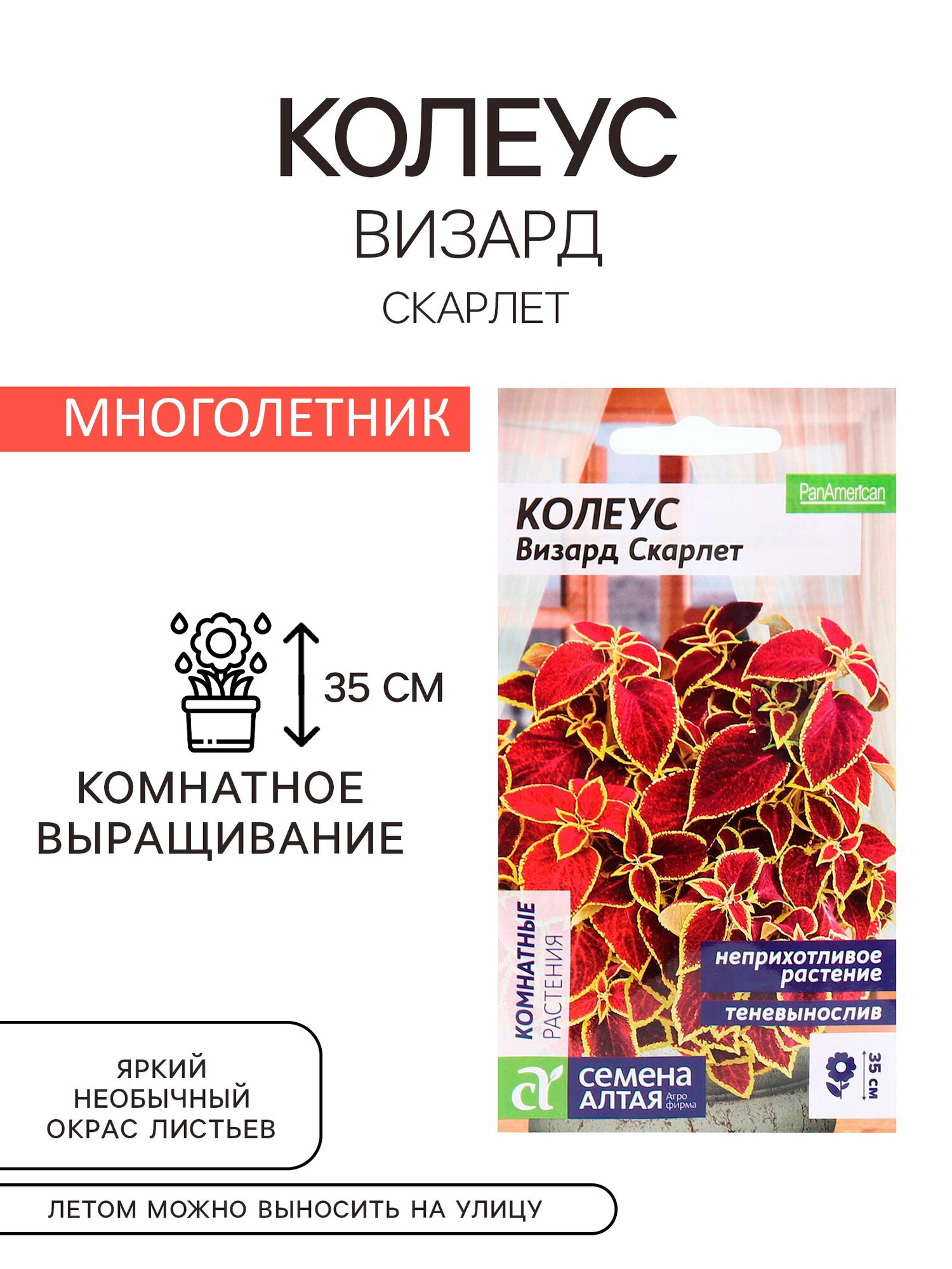 Семена комнатных цветов Колеус "Визард Скарлет", 5 шт, цветение период: август