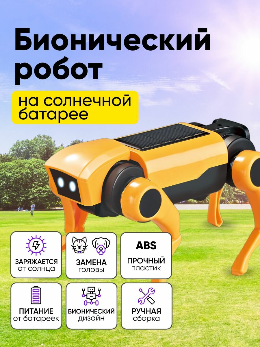 Робот радиоуправляемый