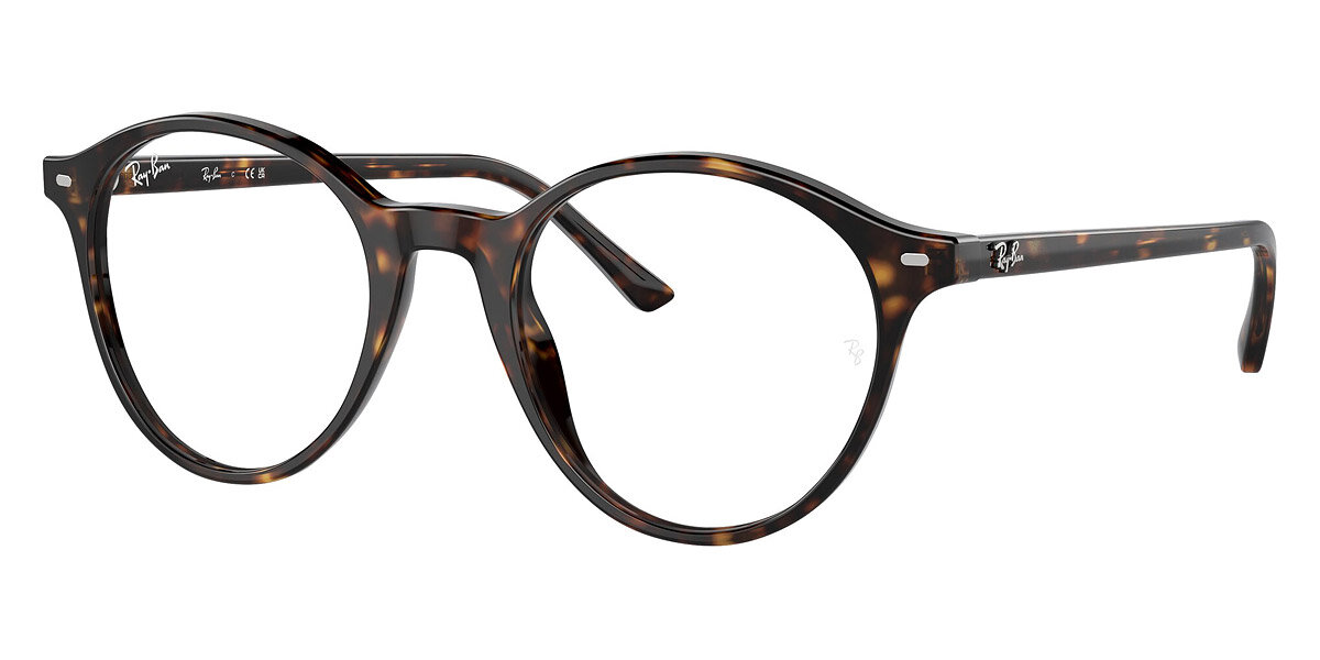 Оправы Ray-Ban RB 5430 2012 51