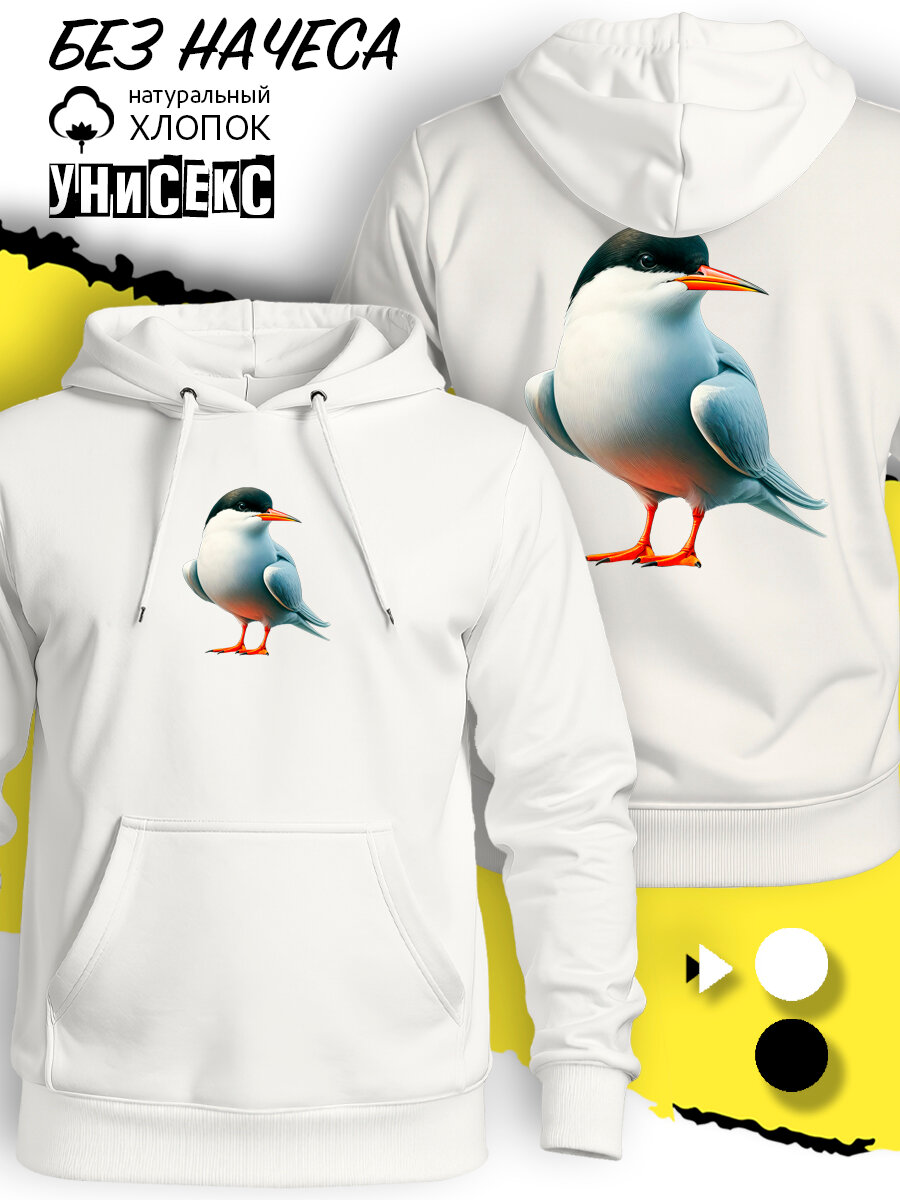 Худи Толстовка свитшот полярная крачка