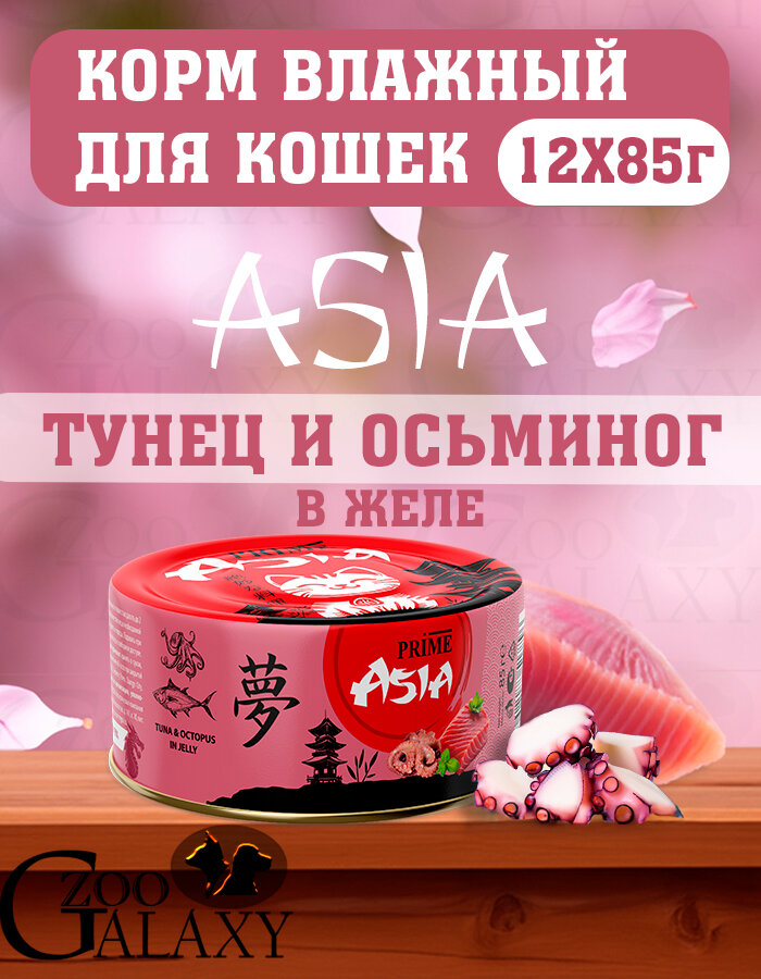 PRIME Влажный корм ASIA для кошек, тунец и осьминог в желе 12х85г
