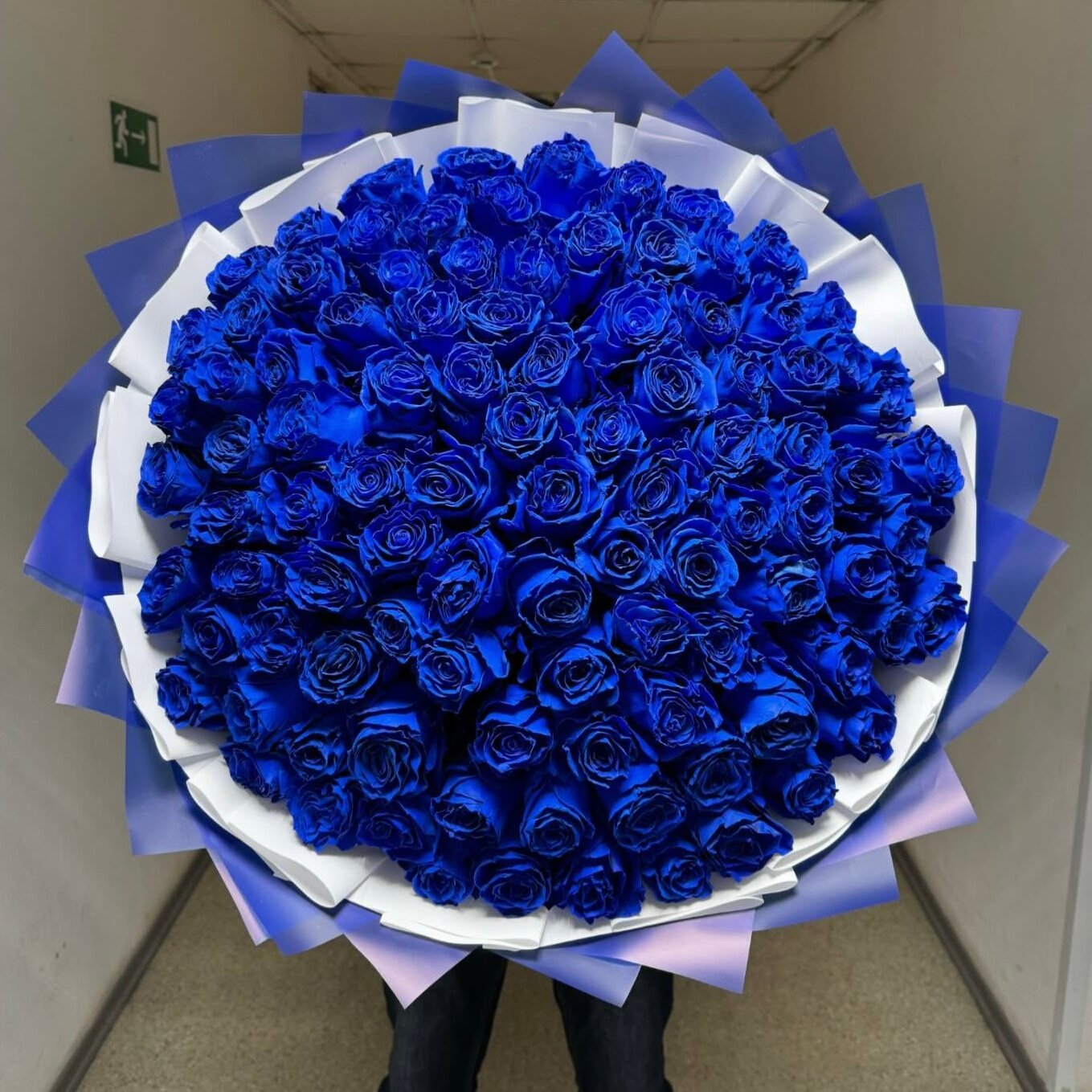 Букет из синих роз 101 шт, красивый букет цветов, шикарный, премиум цветы, премиум букет