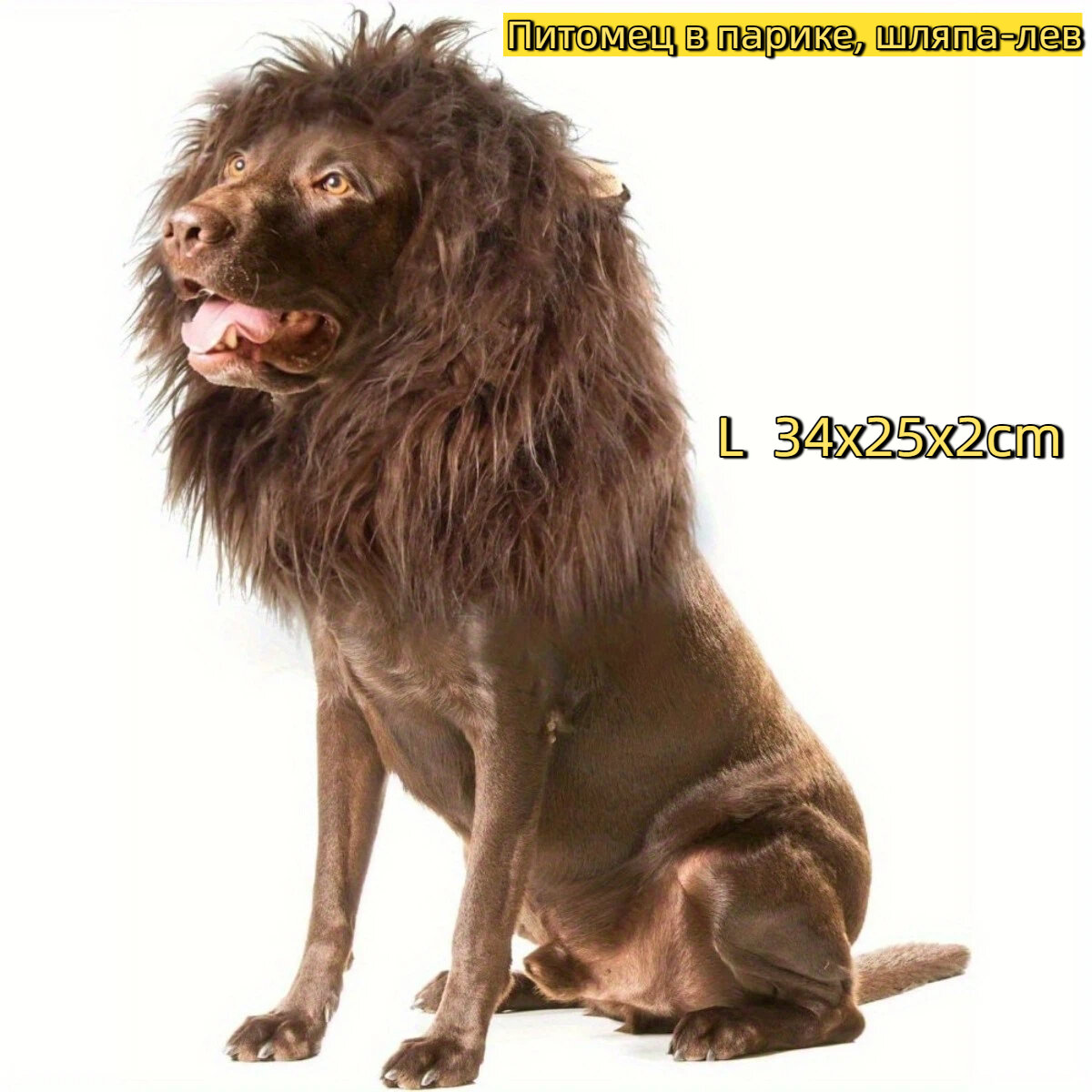 Забавный львиный капюшон с ушами Шляпа с ушами Король джунглей капюшон