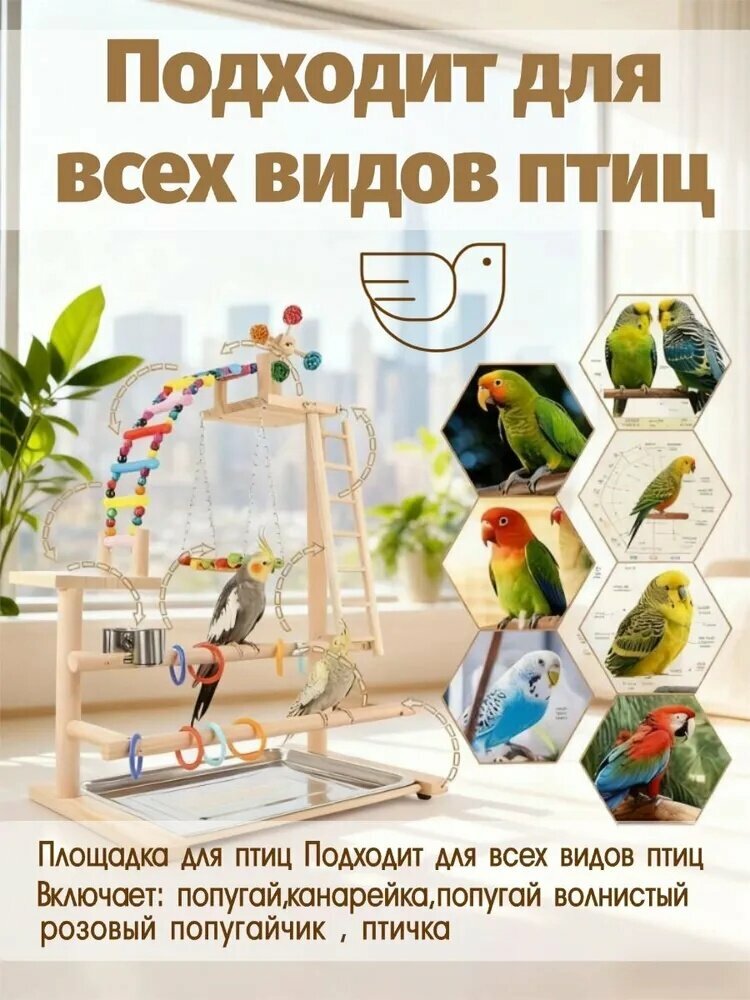 Стенд Для Попугая — фото 1