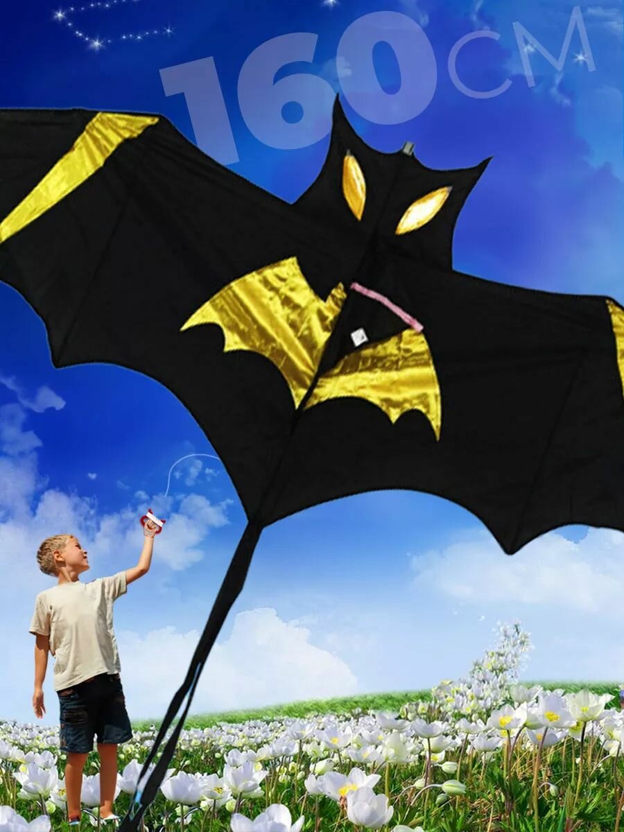 Воздушный змей большой