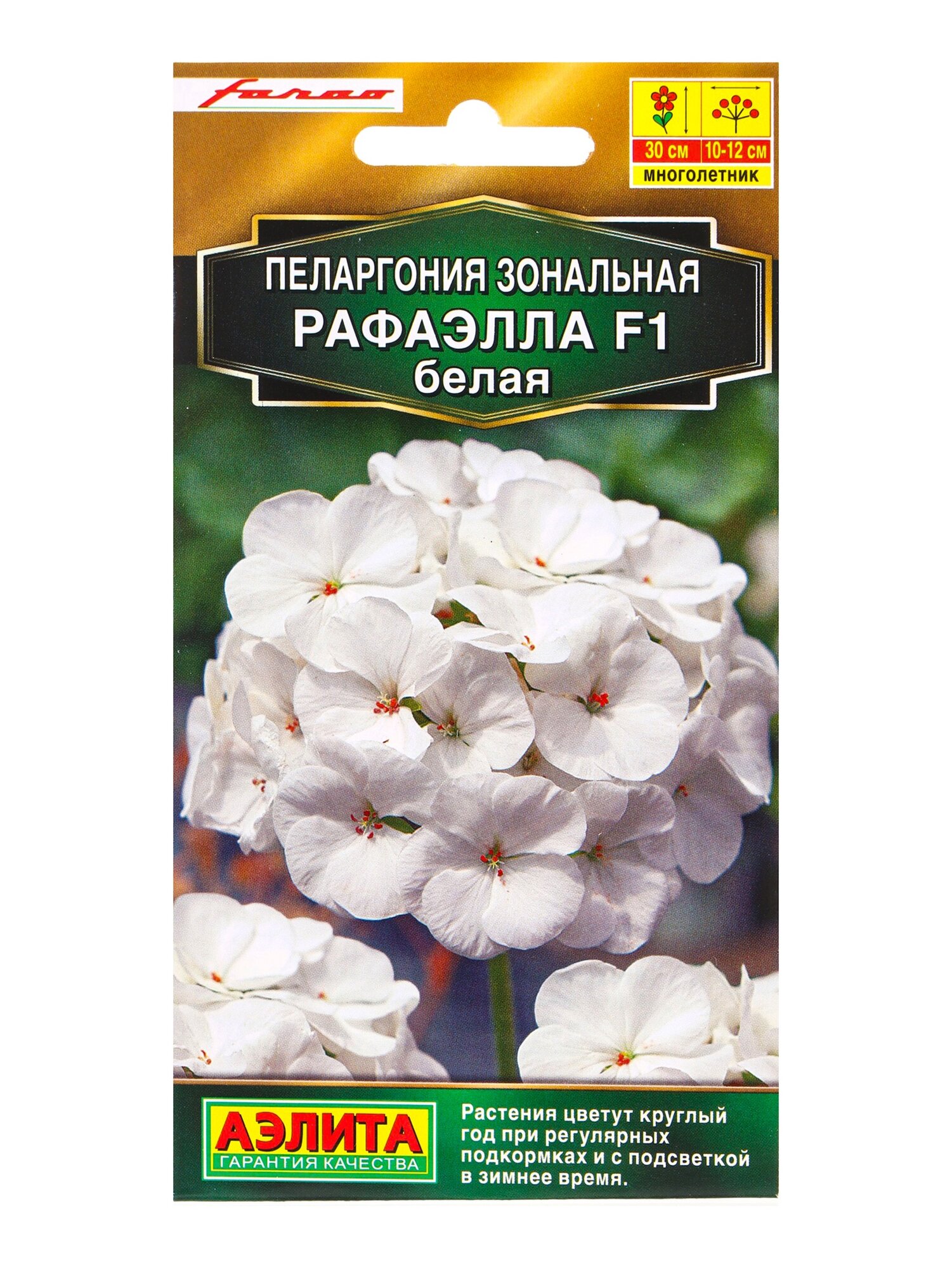 Семена цветов Пеларгония Рафаэлла F1 белая Мн С. Farao Золотая серия, Ц/П,5 шт. 10945626