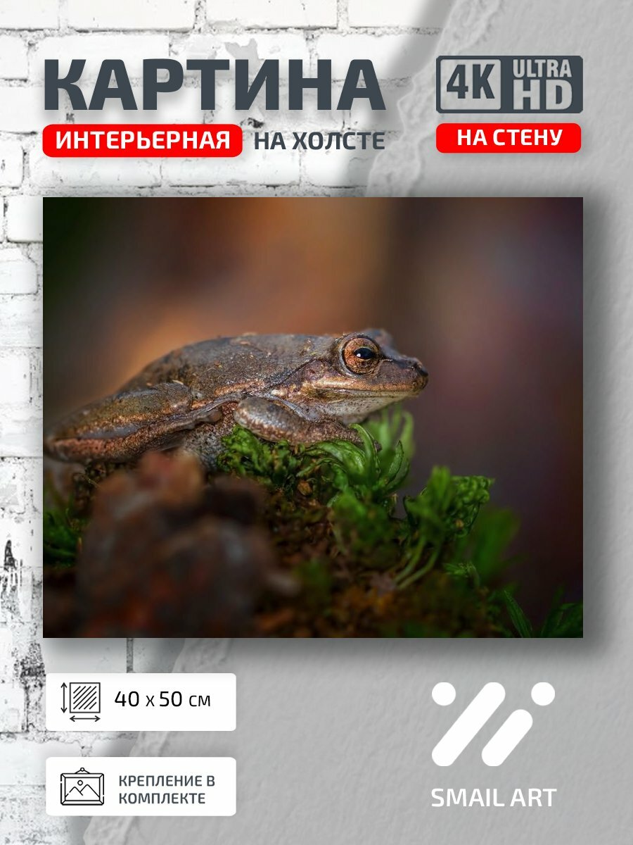 Картина на холсте интерьерная 40 на 50 на стену Сбоку Mood для студии атмосфера интерьер