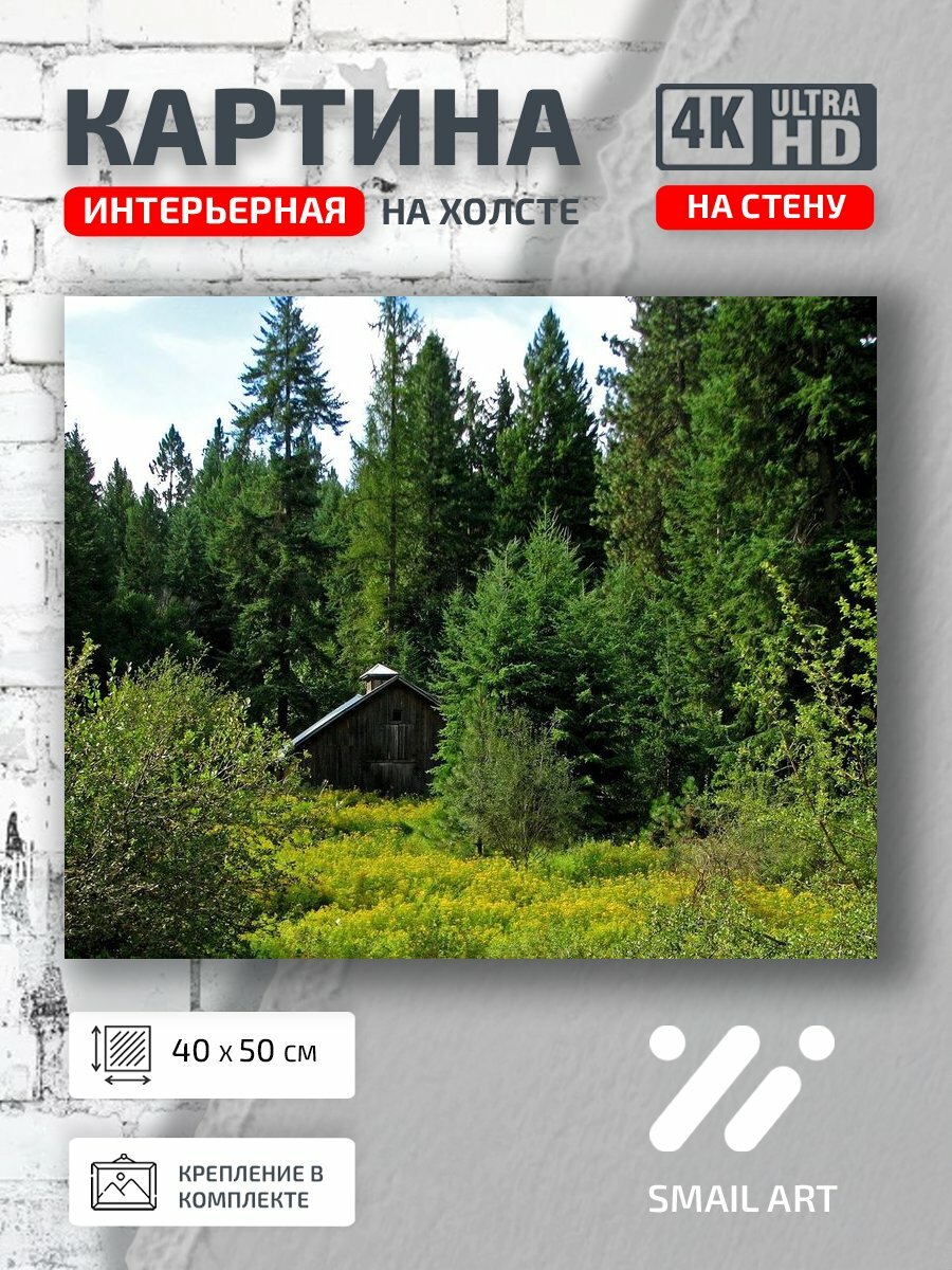 Картина на холсте интерьерная 40 на 50 на стену Лето Landscape для гостиной пейзаж интерьер