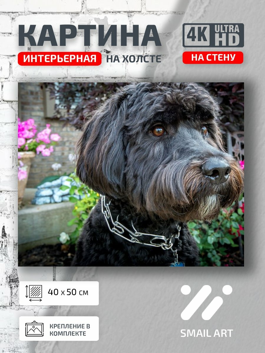 Картина на холсте интерьерная 40 на 50 на стену Пес dog для детской animal style интерьер