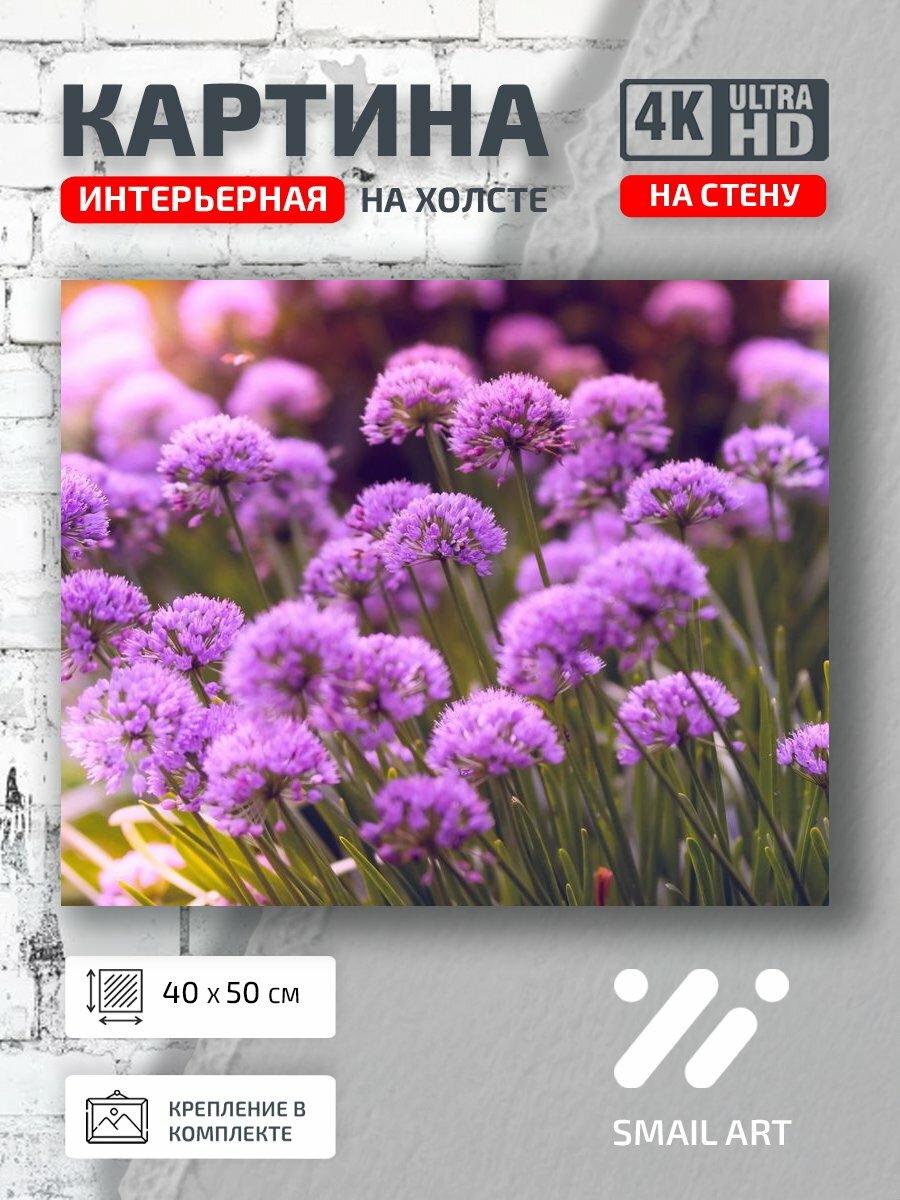 Картина на холсте интерьерная 40 на 50 на стену Аллиум Landscape для гостиной пейзаж декор